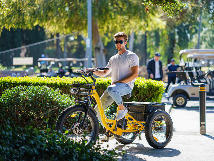 Pedal Assist System (PAS) in Ebikes: A Detailed Guide – MaxFoot ...