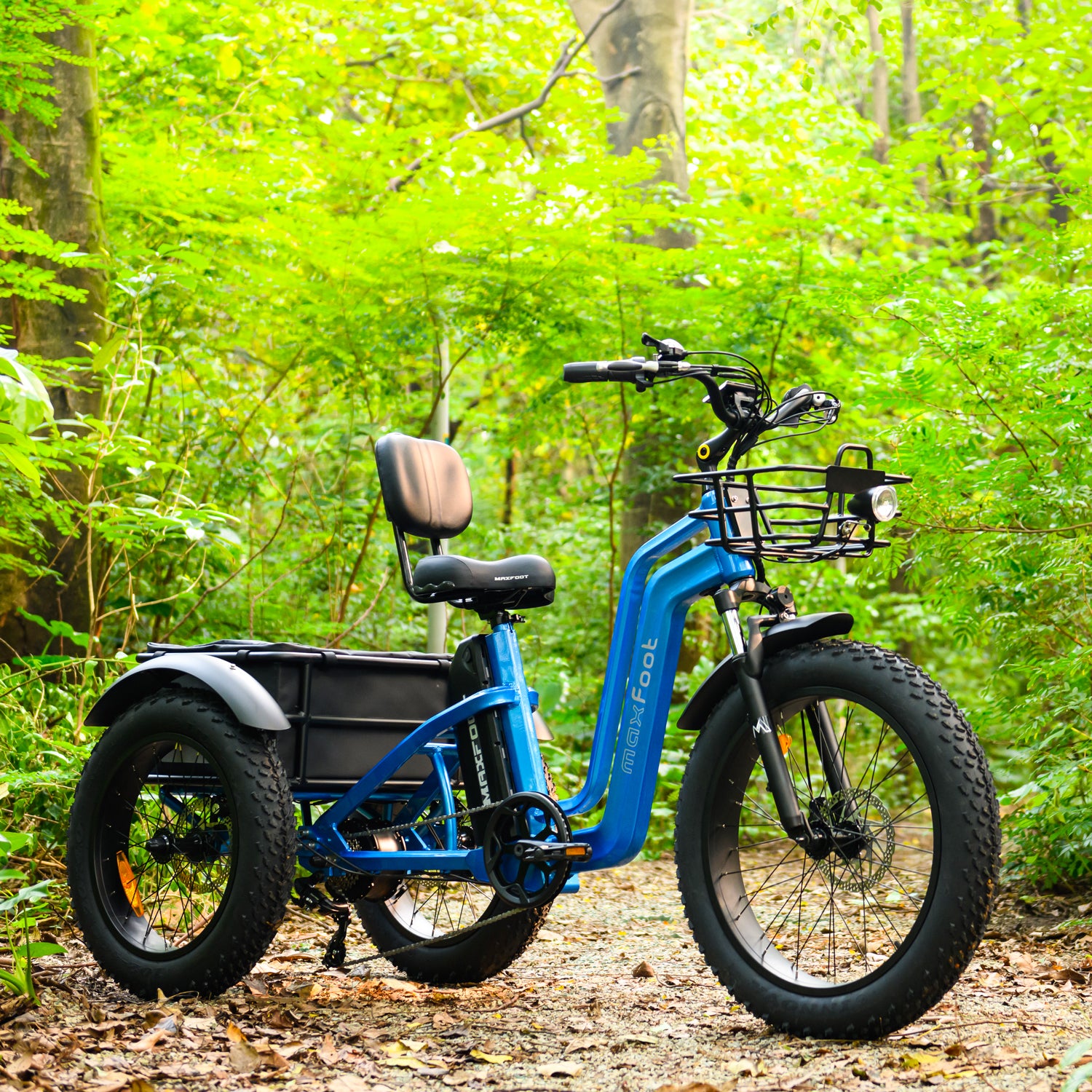 MaxZ – MaxFoot Electric Bike