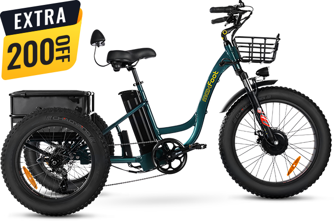 MaxFoot Electric Bike