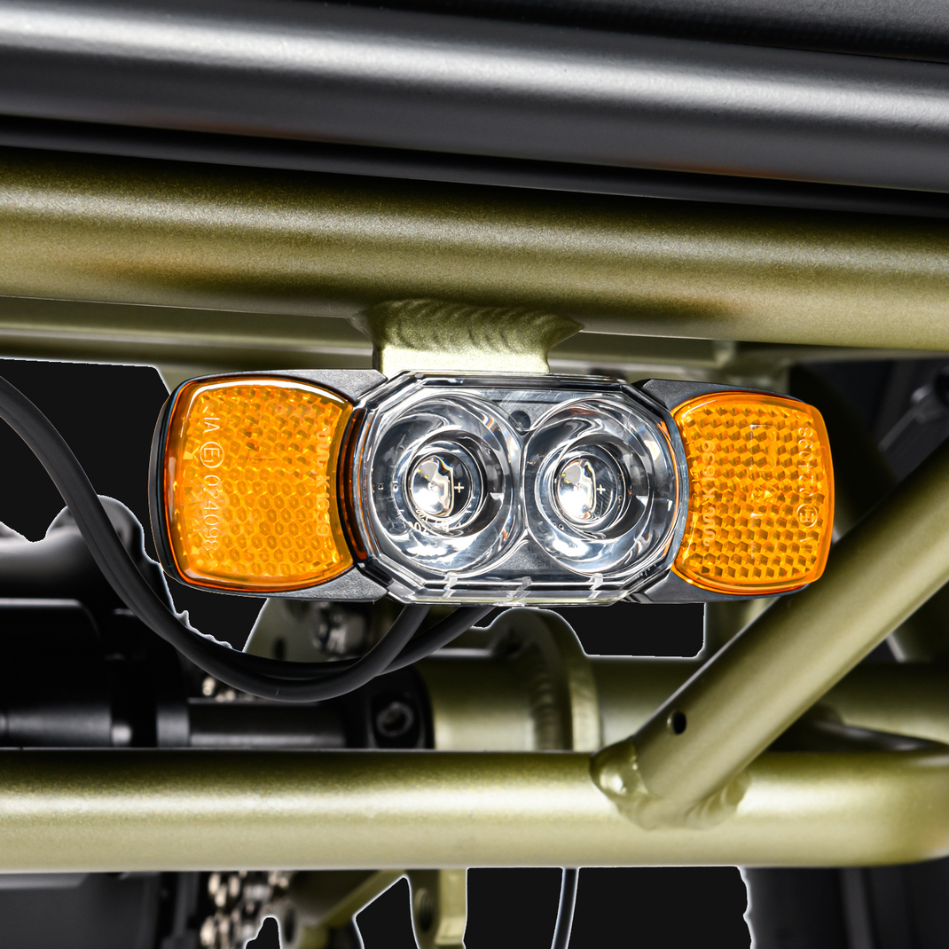 [750W] MaxZ 20" Step -Thru Electric Trike – MaxFoot Electric Bike